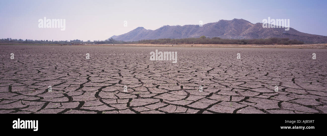 dry cracked river bed, Udaipur lake Stock Photo - Alamy