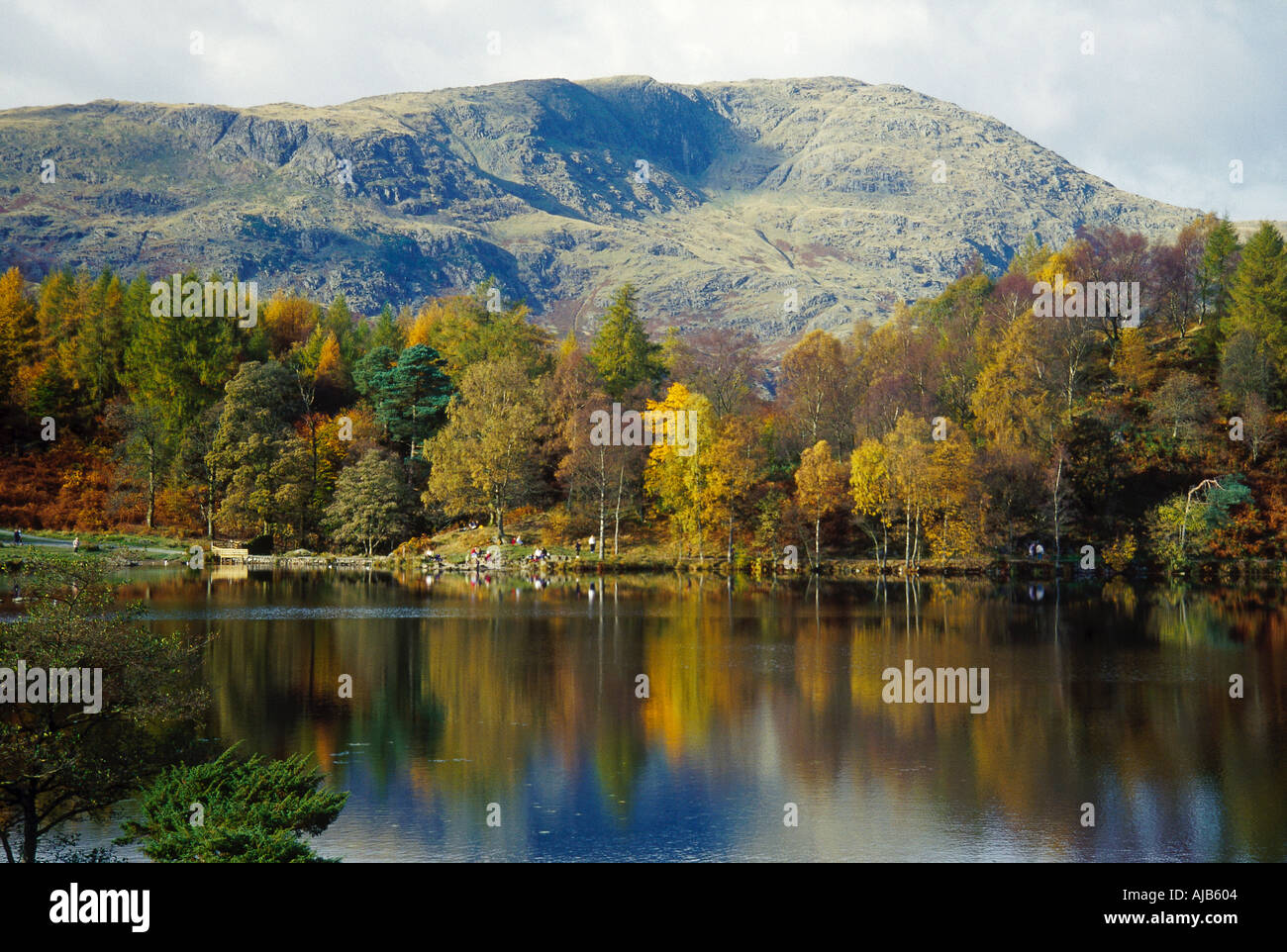 TARN HOWS CUMBRIA ENGLAND Europe Cumbria Stock Photo - Alamy