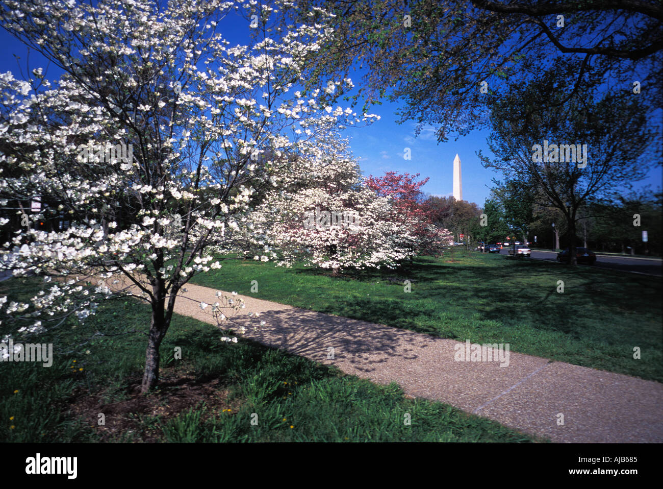 Spring april cherry tree hi-res stock photography and images - Alamy