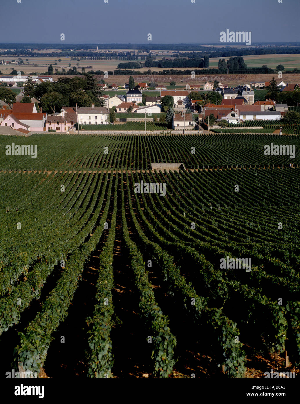 La tache wine hi-res stock photography and images - Alamy