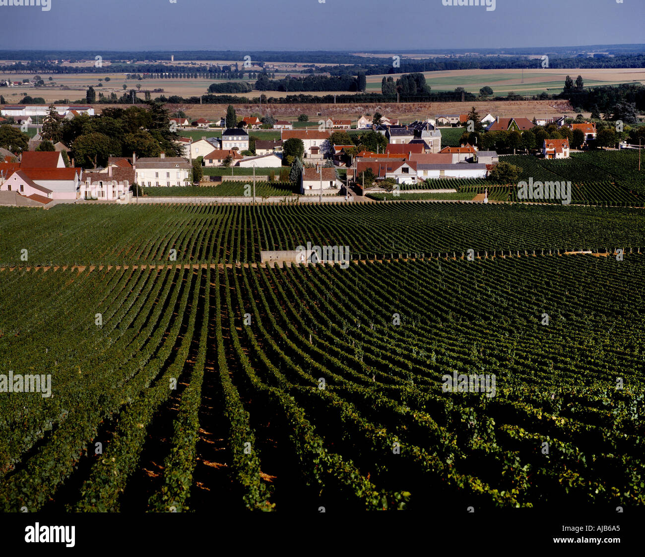 La tache hi-res stock photography and images - Alamy