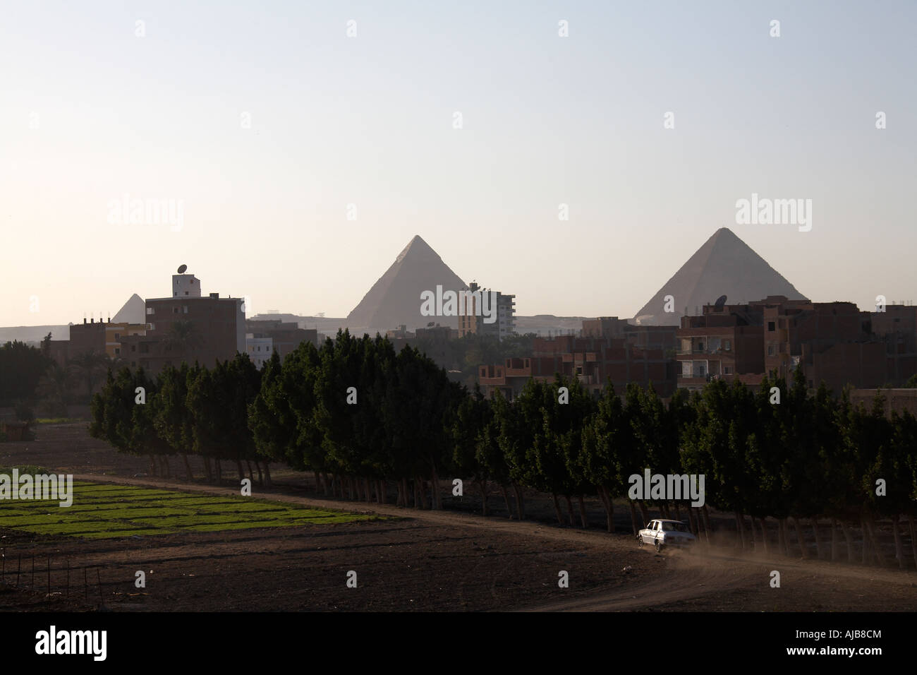 Agricultural farmland and suburbs of southern Giza with Pyramids in ...