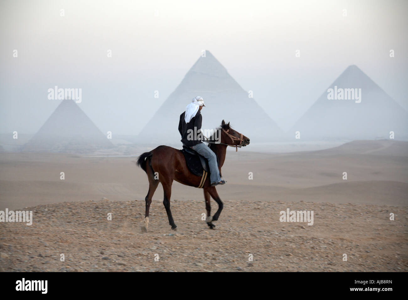 Horse rider guide riding in the stony desert with distant pyramids ...