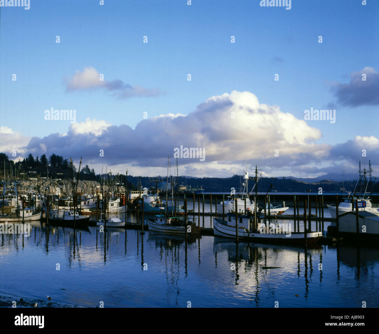 Commercial fishing harbor and small boat marina at Newport on the ...