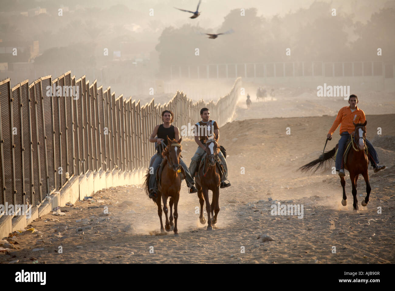 Local people riding galloping horses in stony desert by security fence ...