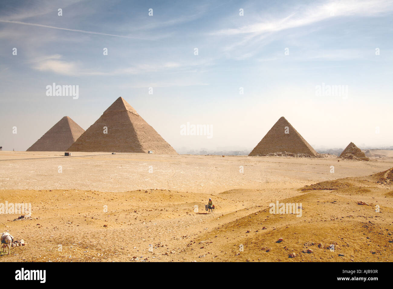 Donkey pyramid giza egypt hi-res stock photography and images - Alamy