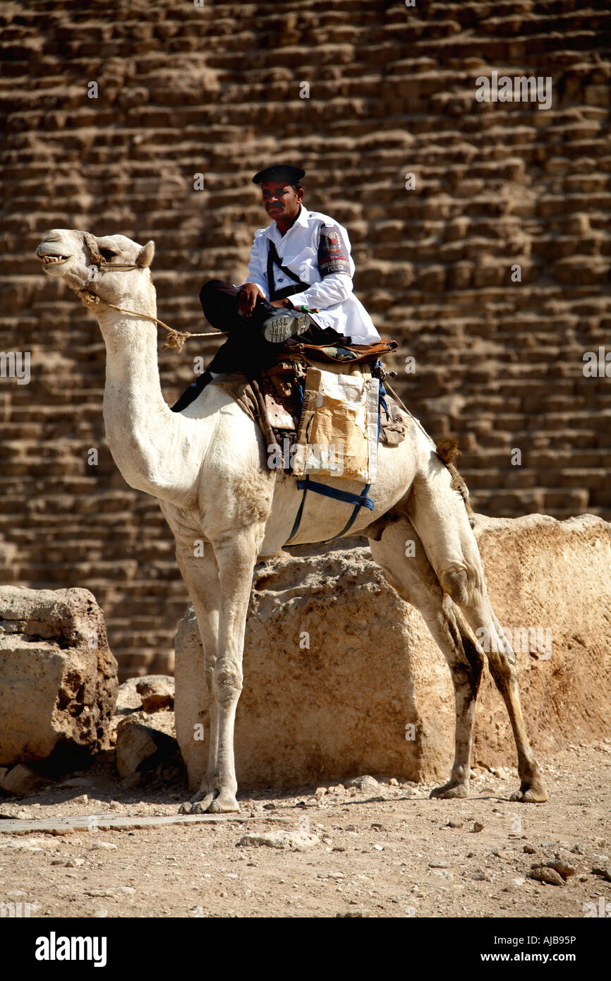 Egyptian tourist police policeman sitting on a camel guarding pyramids ...