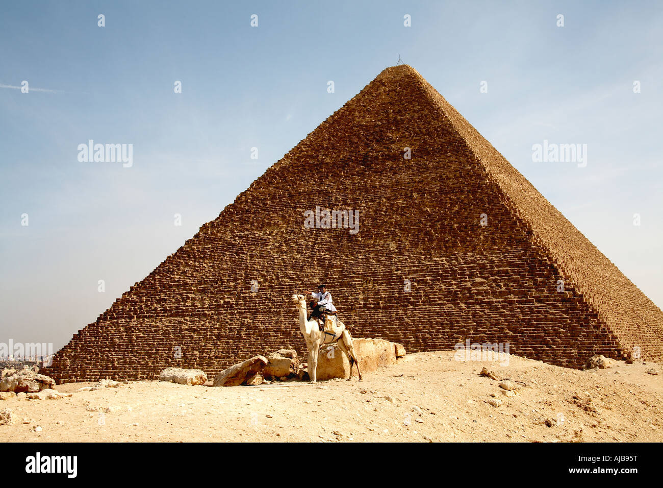 Egyptian tourist police policeman sitting on a camel guarding pyramids ...