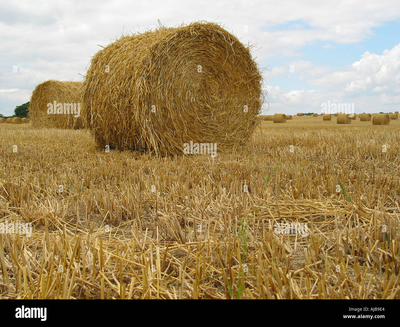 Rolled Straw Bale Modern Farming Stock Photo - Alamy