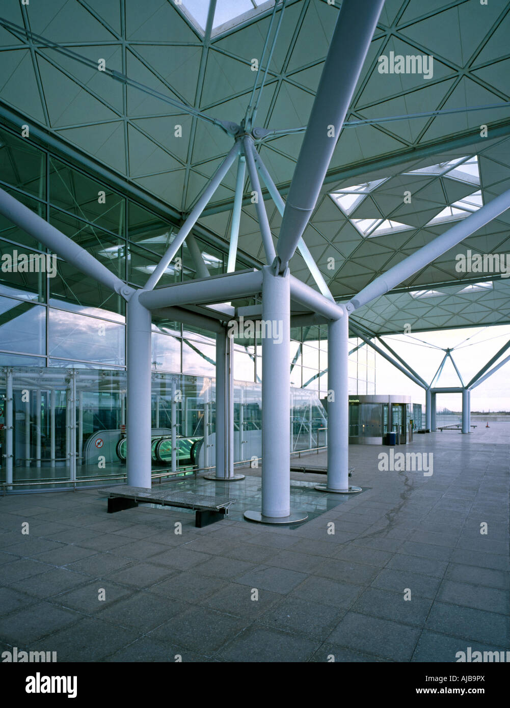 Steel Column Architecture