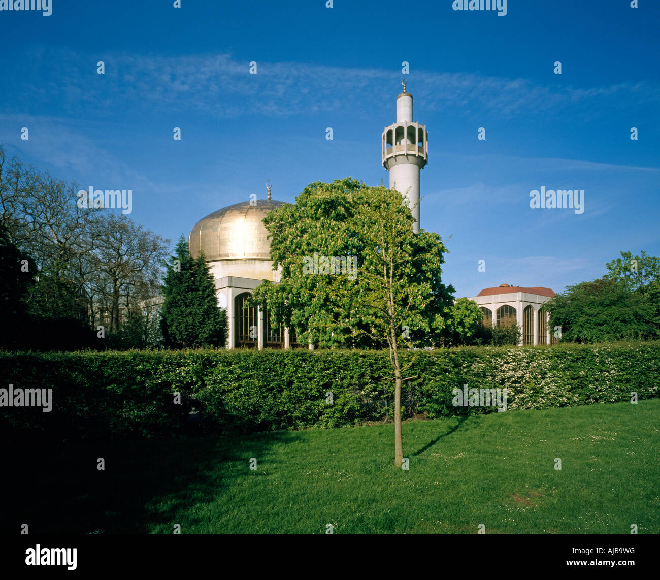 Central London Mosque rising above trees in Regent s Park Islamic ...