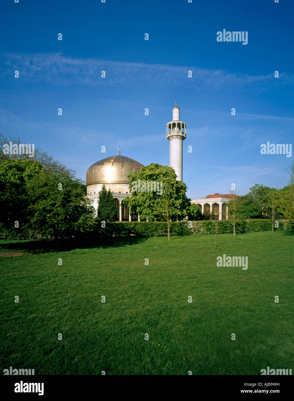 Central London Mosque rising above trees in Regent s Park Islamic ...