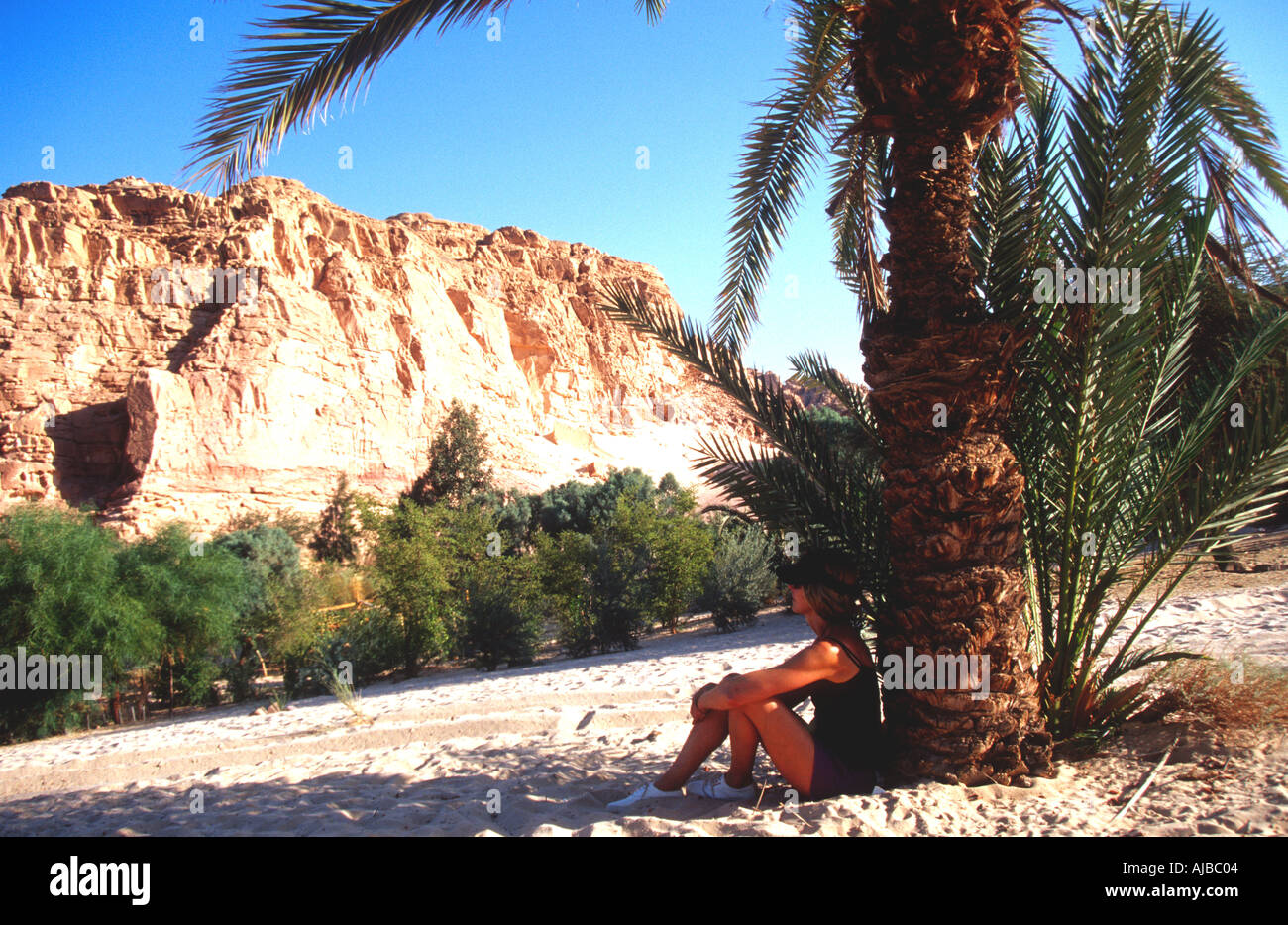 Woman sitting under a palm tree in the oasis of Wadi Ain Khudra Sinai ...