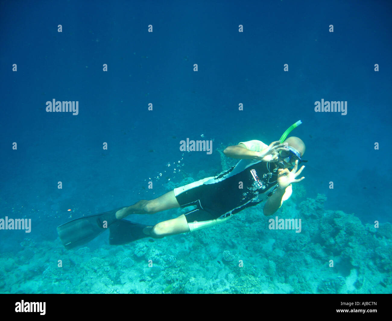 Underwater diving picture of diver swimming in Red Sea at the Canyon ...