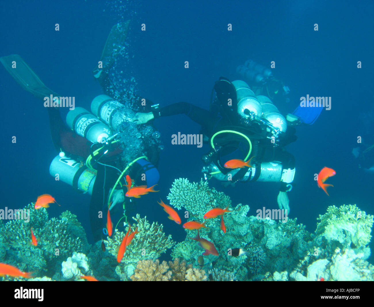 Two people scuba diving under hi-res stock photography and images - Alamy