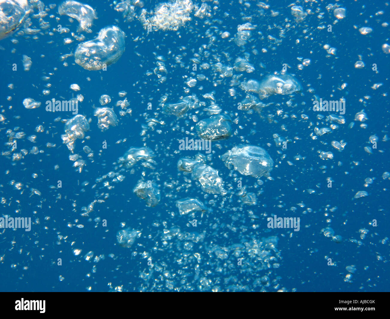 Underwater diving picture of air bubbles in Red Sea at the Canyon dive ...