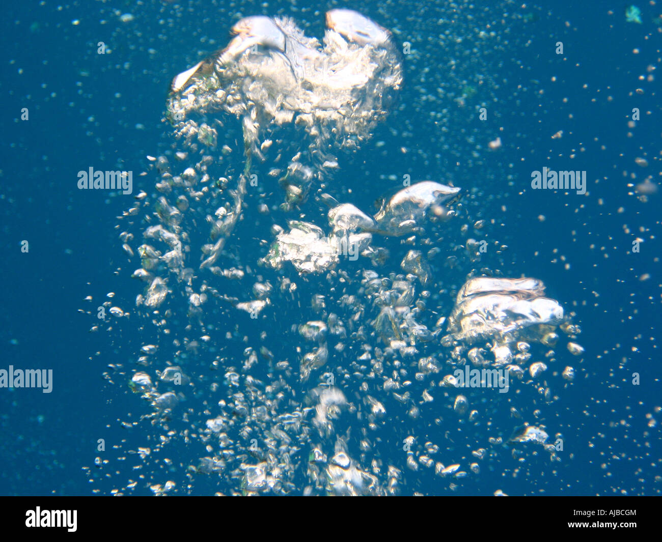 Underwater diving picture of air bubbles in Red Sea at the Canyon dive ...