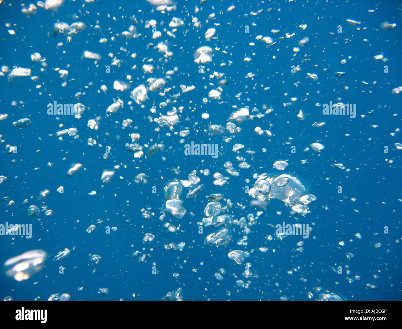 Underwater diving picture of air bubbles in Red Sea at the Canyon dive ...