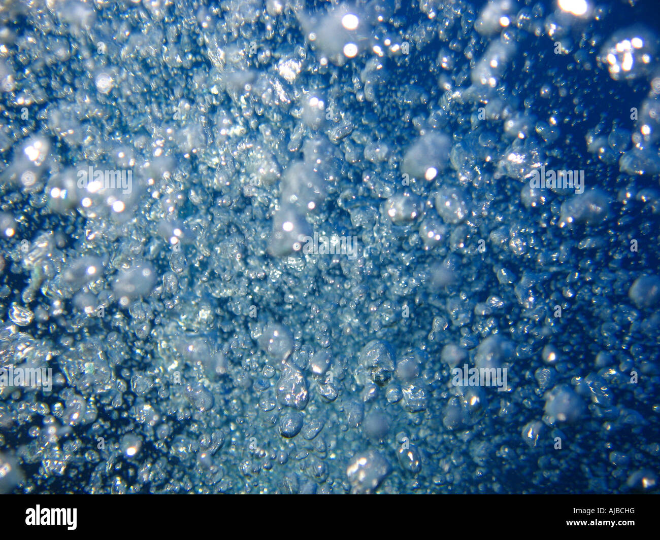 Underwater diving picture of air bubbles in Red Sea at the Canyon dive ...