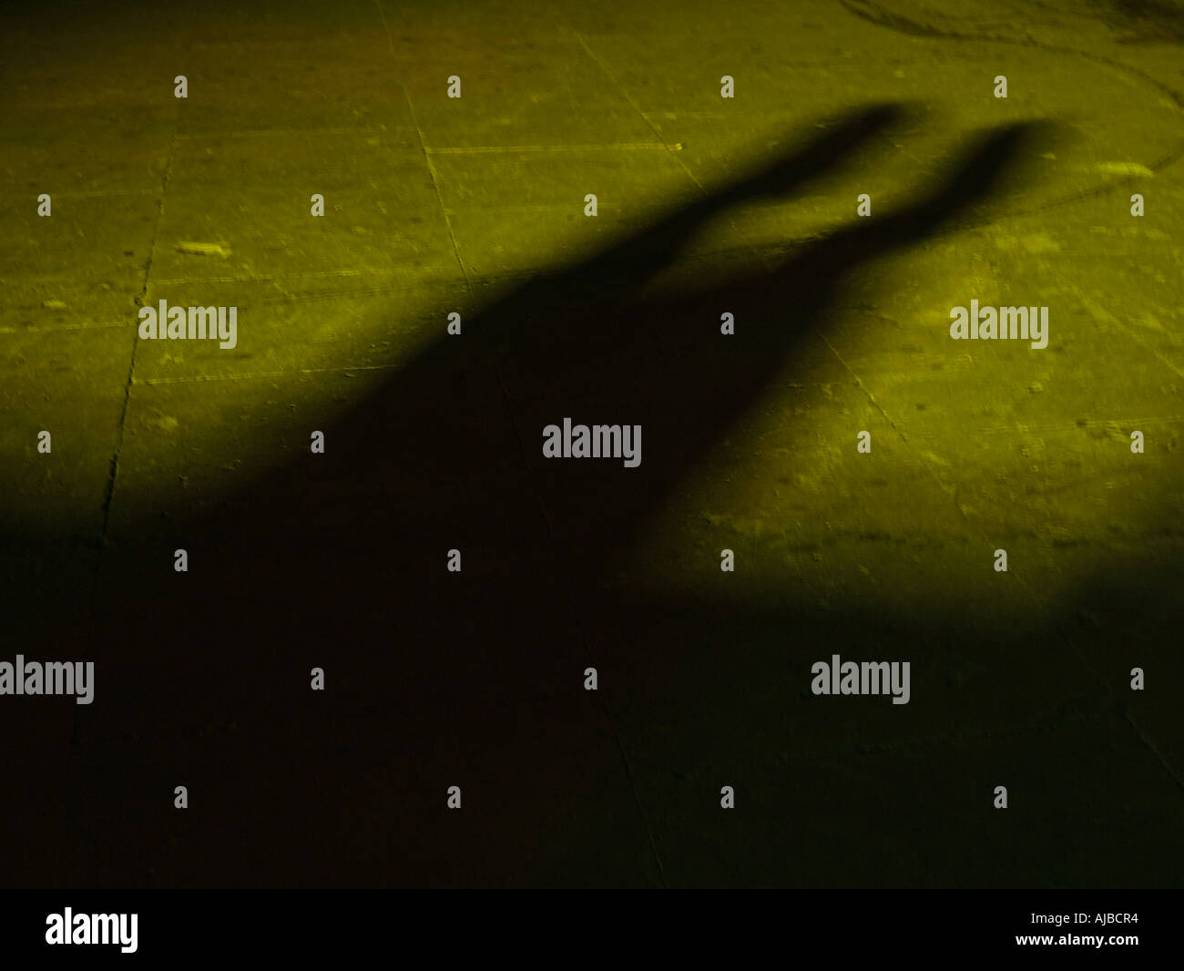 people shadow on pavement Stock Photo - Alamy