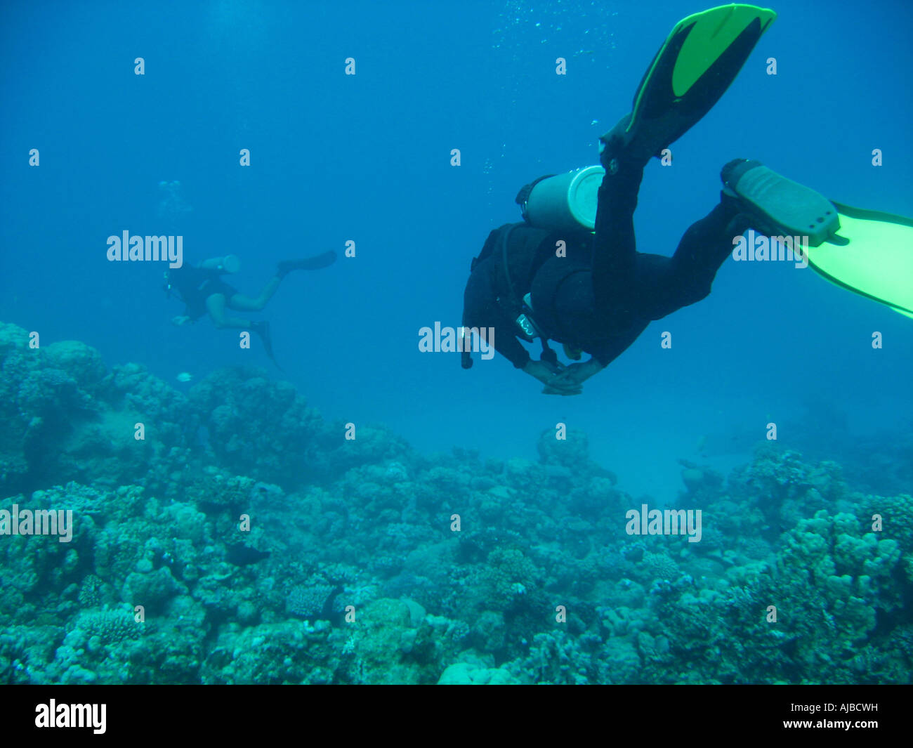Underwater diving picture of scuba divers swimming over the coral reef ...
