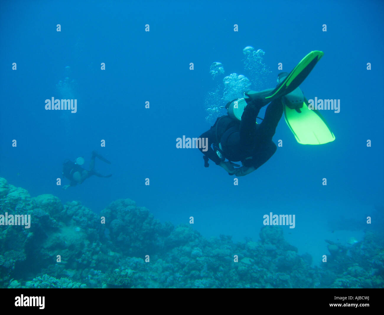 Underwater divers coral reef hi-res stock photography and images - Alamy