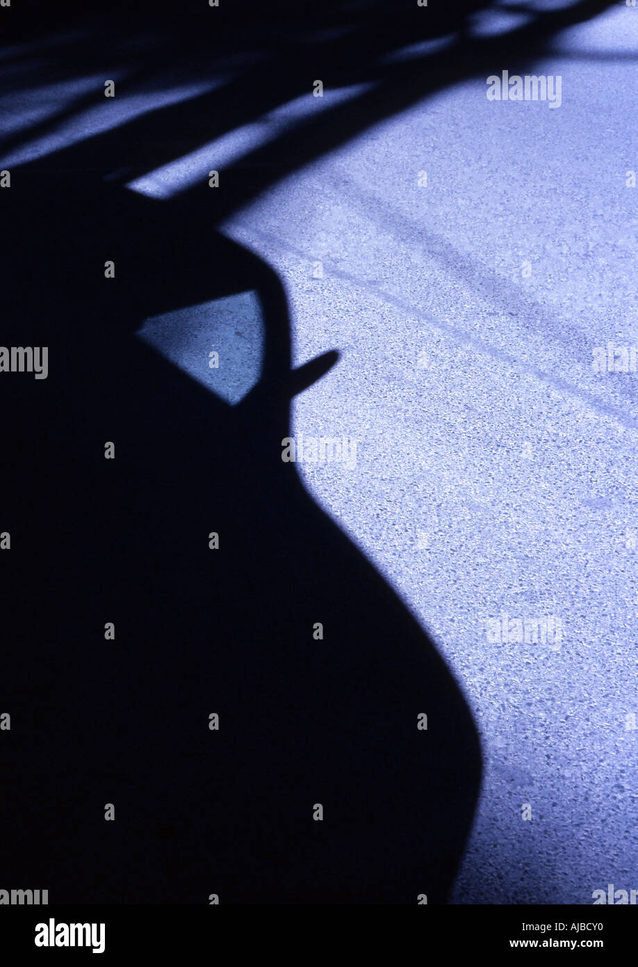 car shadow on road Stock Photo - Alamy
