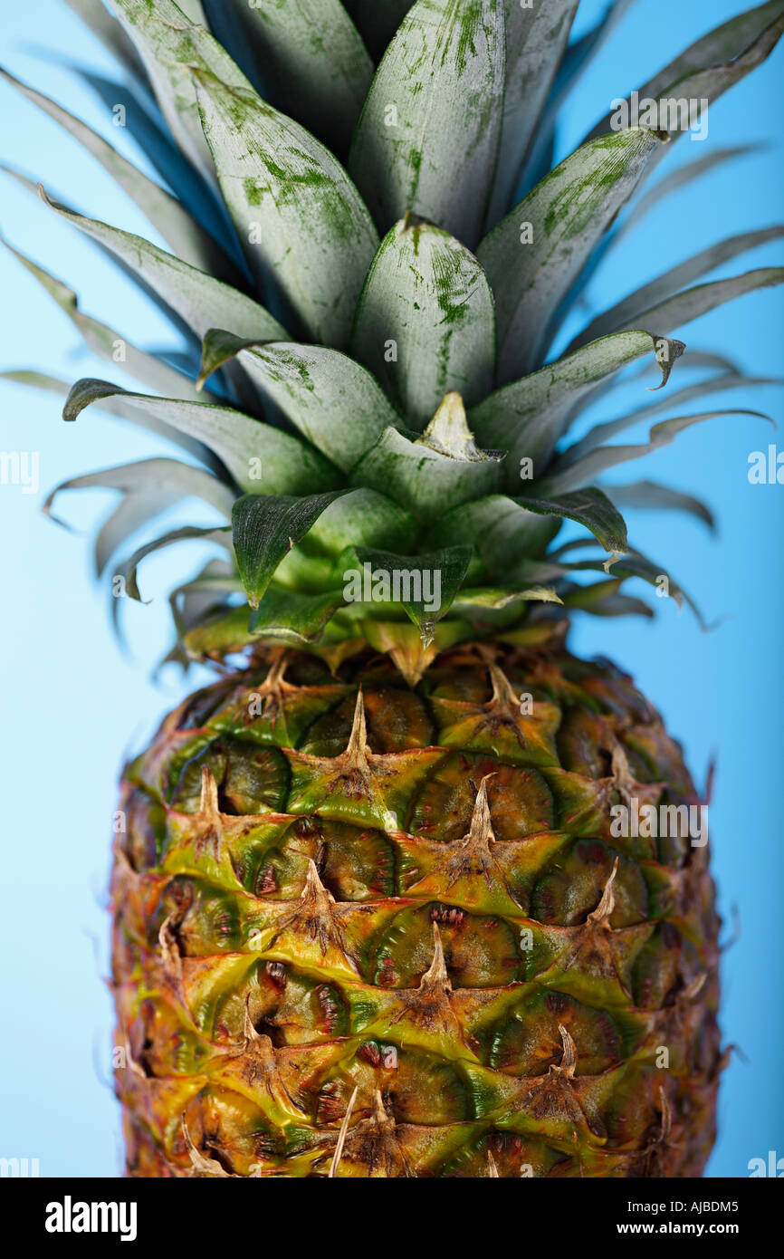 Whole pineapple icon hi-res stock photography and images - Alamy