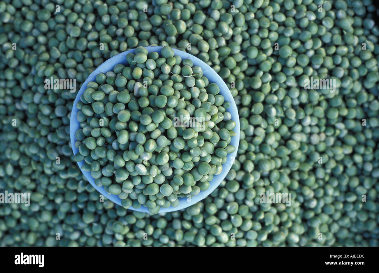 Beans for sale at market Otavalo is one of Ecuador s most popular ...