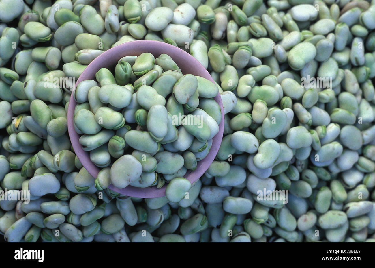 Beans for sale at market Otavalo is one of Ecuador s most popular ...