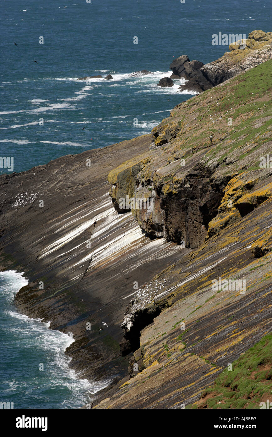 The Wick on Skomer Island west wales Stock Photo - Alamy