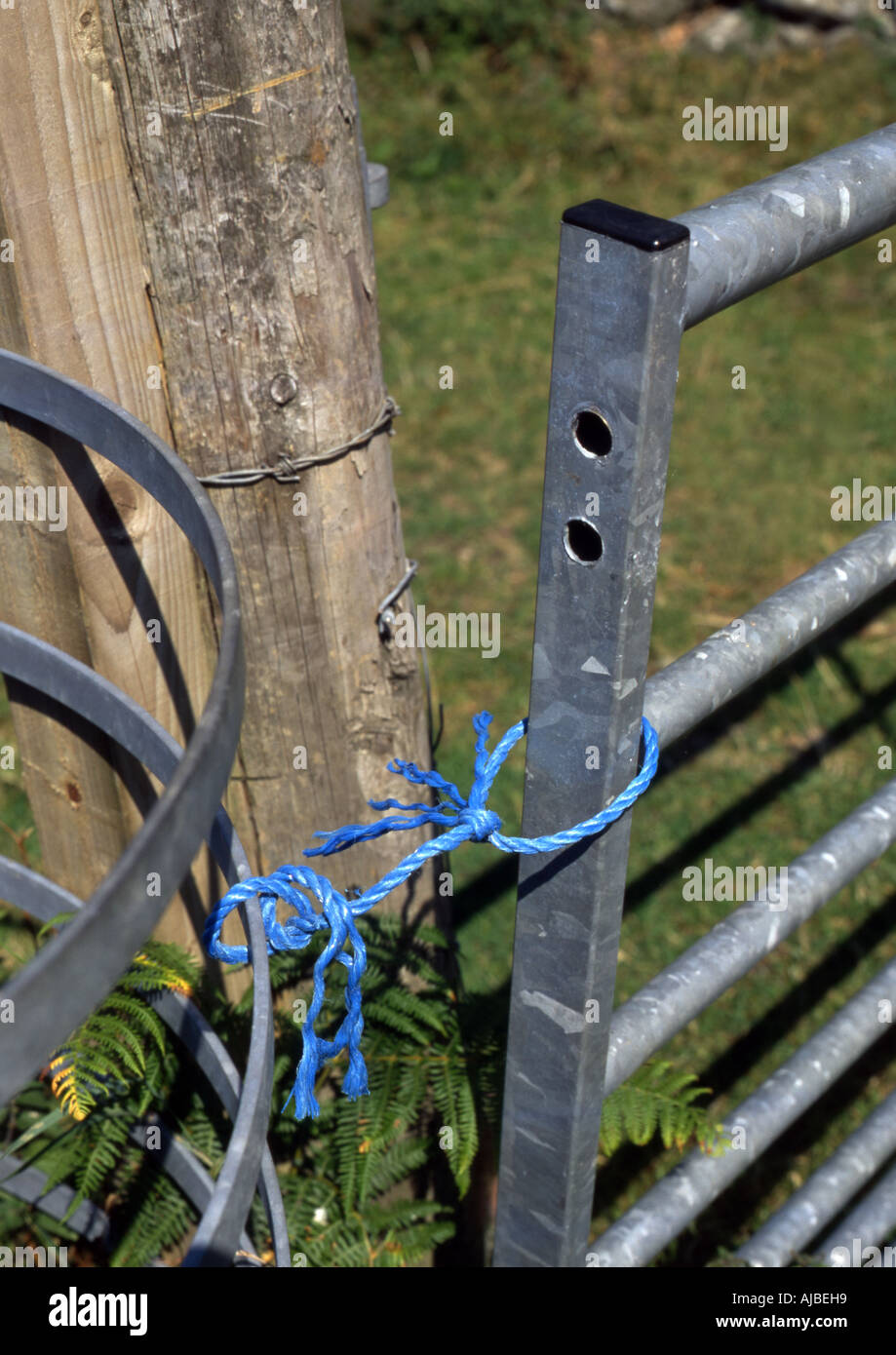 farm gate closed with blue rope Stock Photo - Alamy