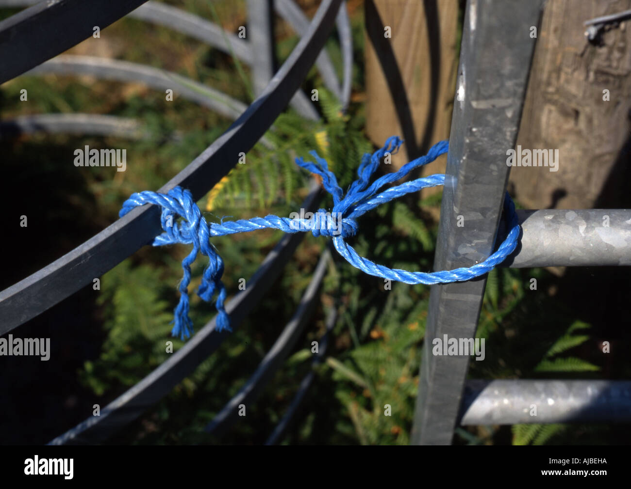 farm gate closed with blue rope Stock Photo - Alamy