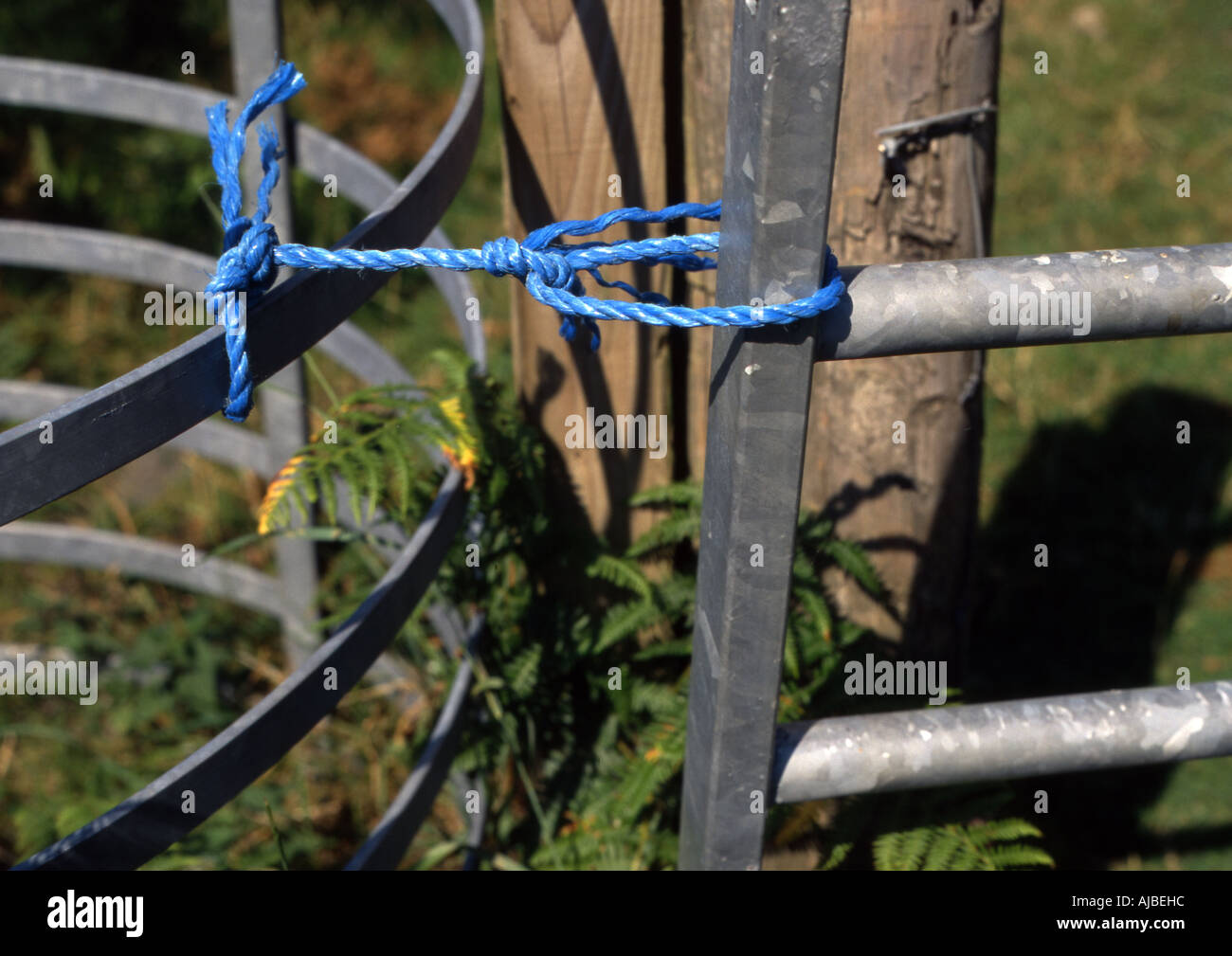 farm gate closed with blue rope Stock Photo - Alamy