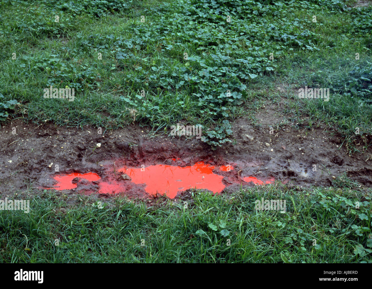 Pool crime murder massacre hi-res stock photography and images - Alamy