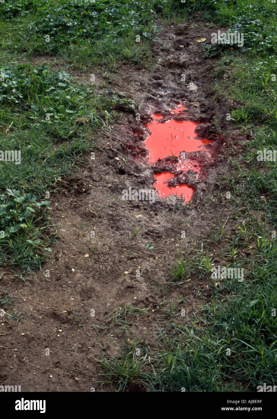 Pool crime murder massacre hi-res stock photography and images - Alamy