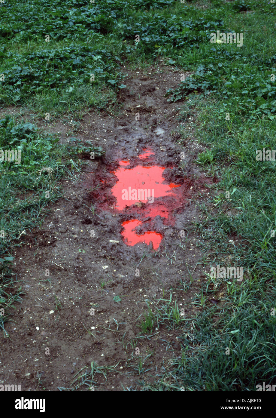 Pool crime murder massacre hi-res stock photography and images - Alamy