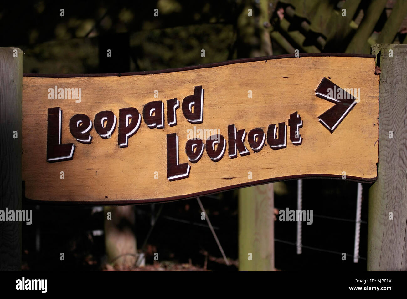 Leopard Sign High Resolution Stock Photography and Images - Alamy