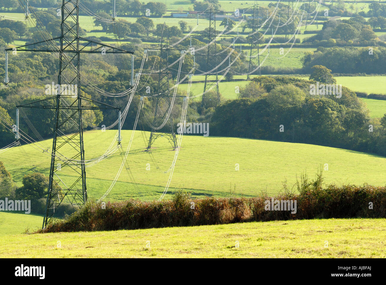 Pylon carrying power cables Stock Photo - Alamy