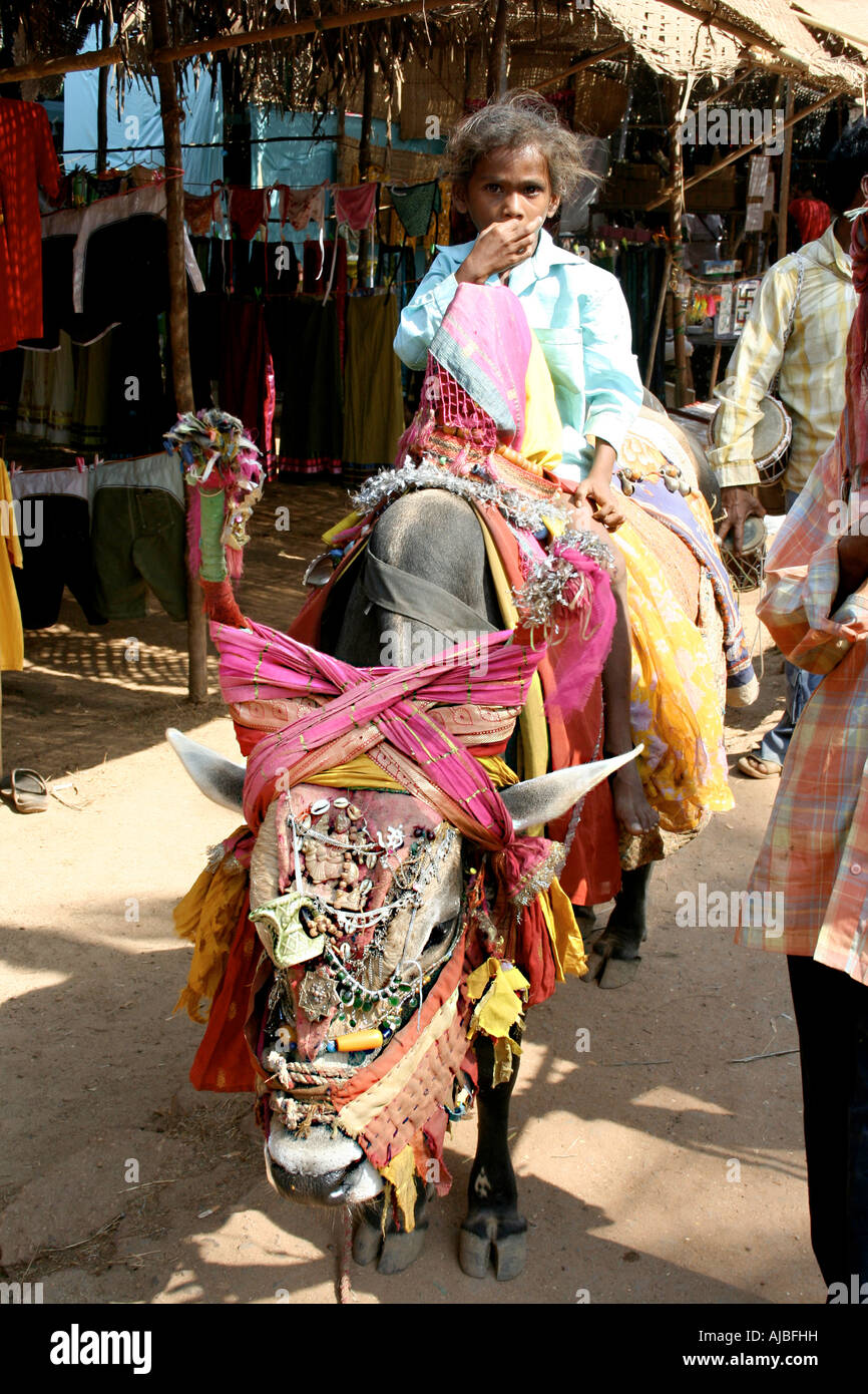 decorated "donkey" in [Goa] India Stock Photo - Alamy