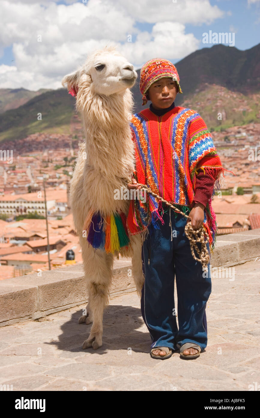 Young traditionally dressed Peruvian boy with alpaca infront of Cusco ...