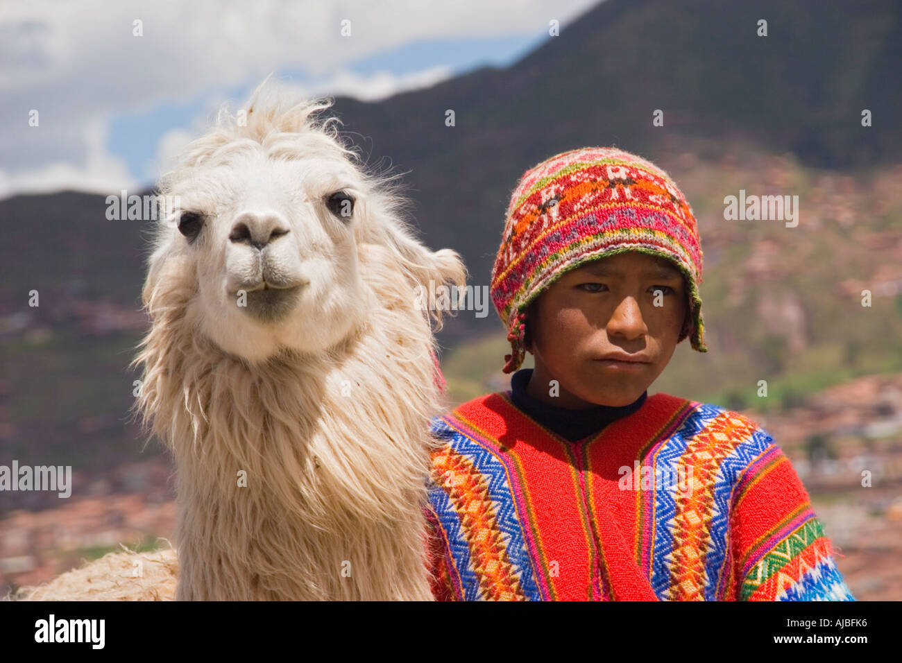 Young traditionally dressed Peruvian boy with alpaca infront of Cusco ...