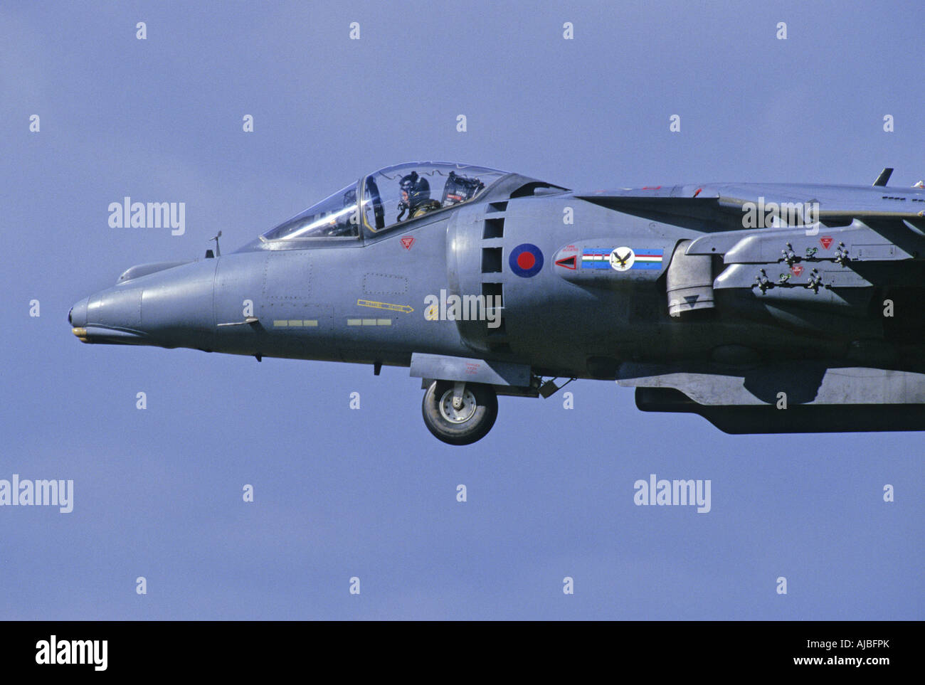 BAE Systems Harrier GR7 of Royal Air Force Stock Photo - Alamy