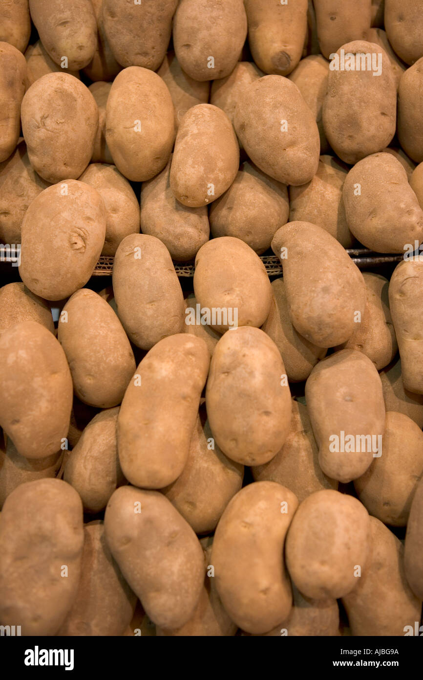 Potato potatos vegetable solanum tuberosum hi-res stock photography and ...