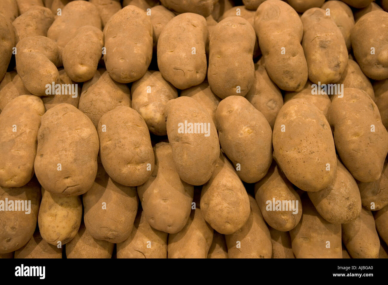Potato potatos vegetable solanum tuberosum hi-res stock photography and ...