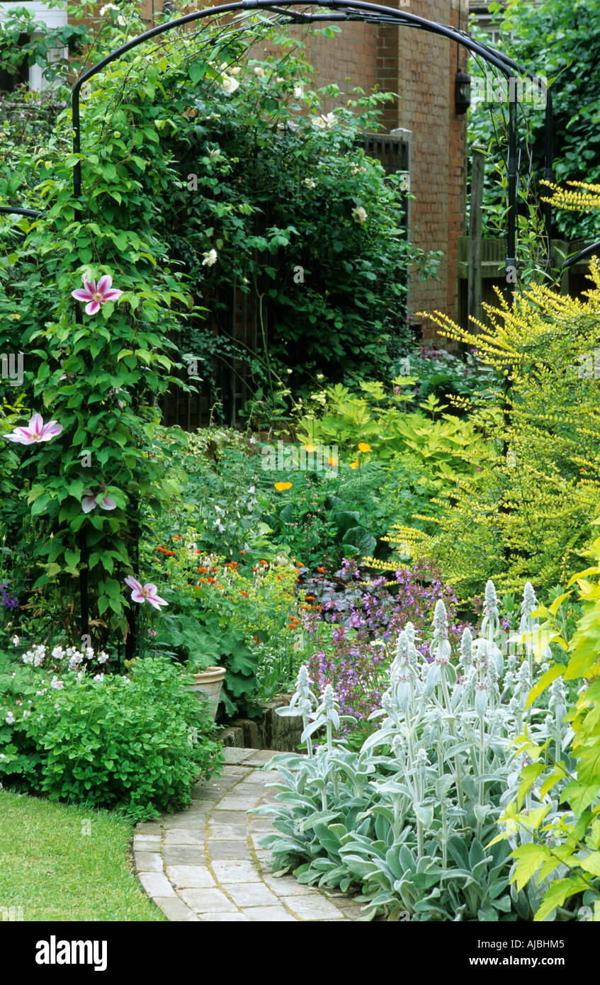 Rose arch clematis clematis hi-res stock photography and images - Alamy