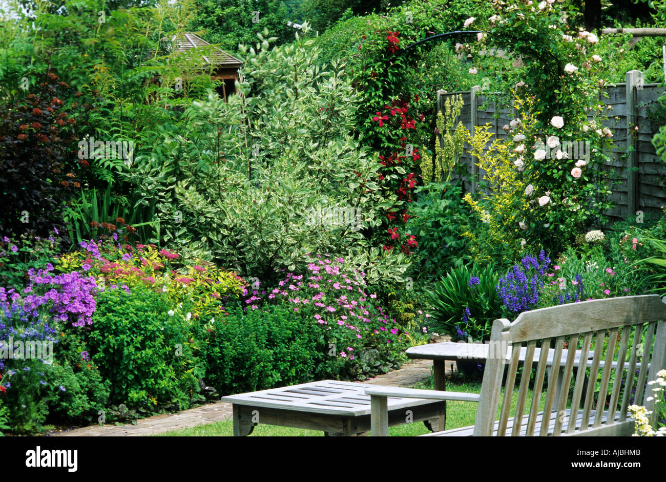 Rose arch clematis clematis hi-res stock photography and images - Alamy