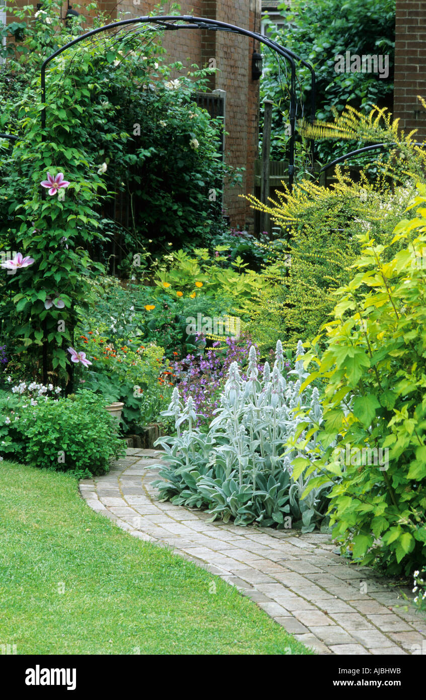 Lawn curving curved brick path clematis arch stachys garden Stock Photo ...