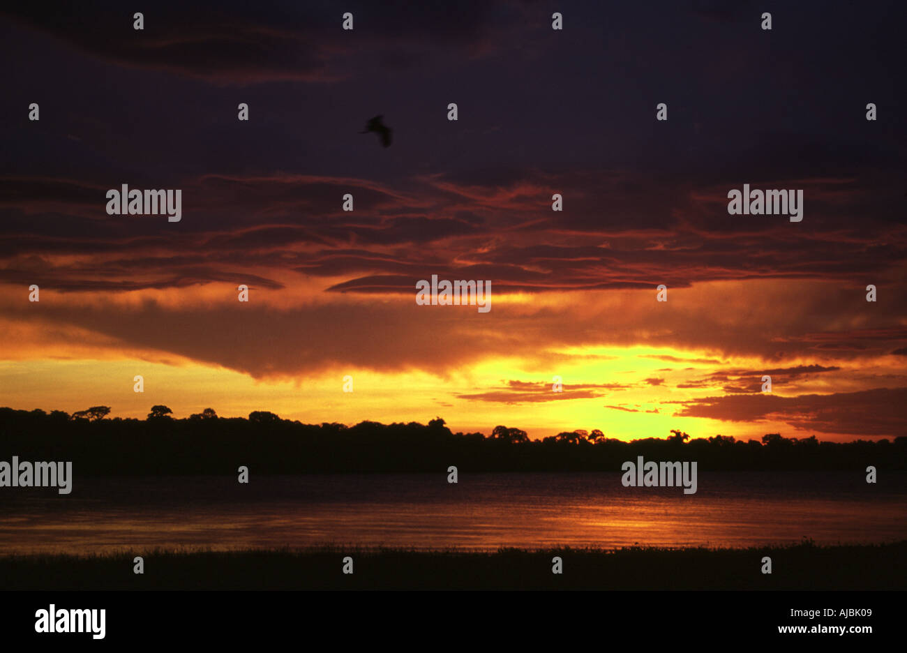 Kisubi hi-res stock photography and images - Alamy