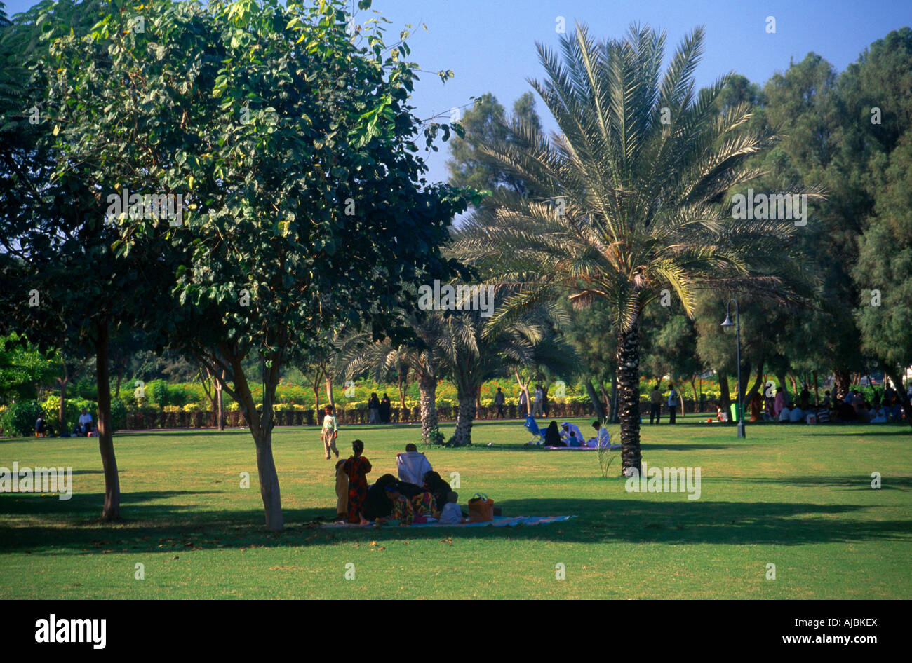 Dubai UAE Safa Park Picnic Under Trees Stock Photo - Alamy